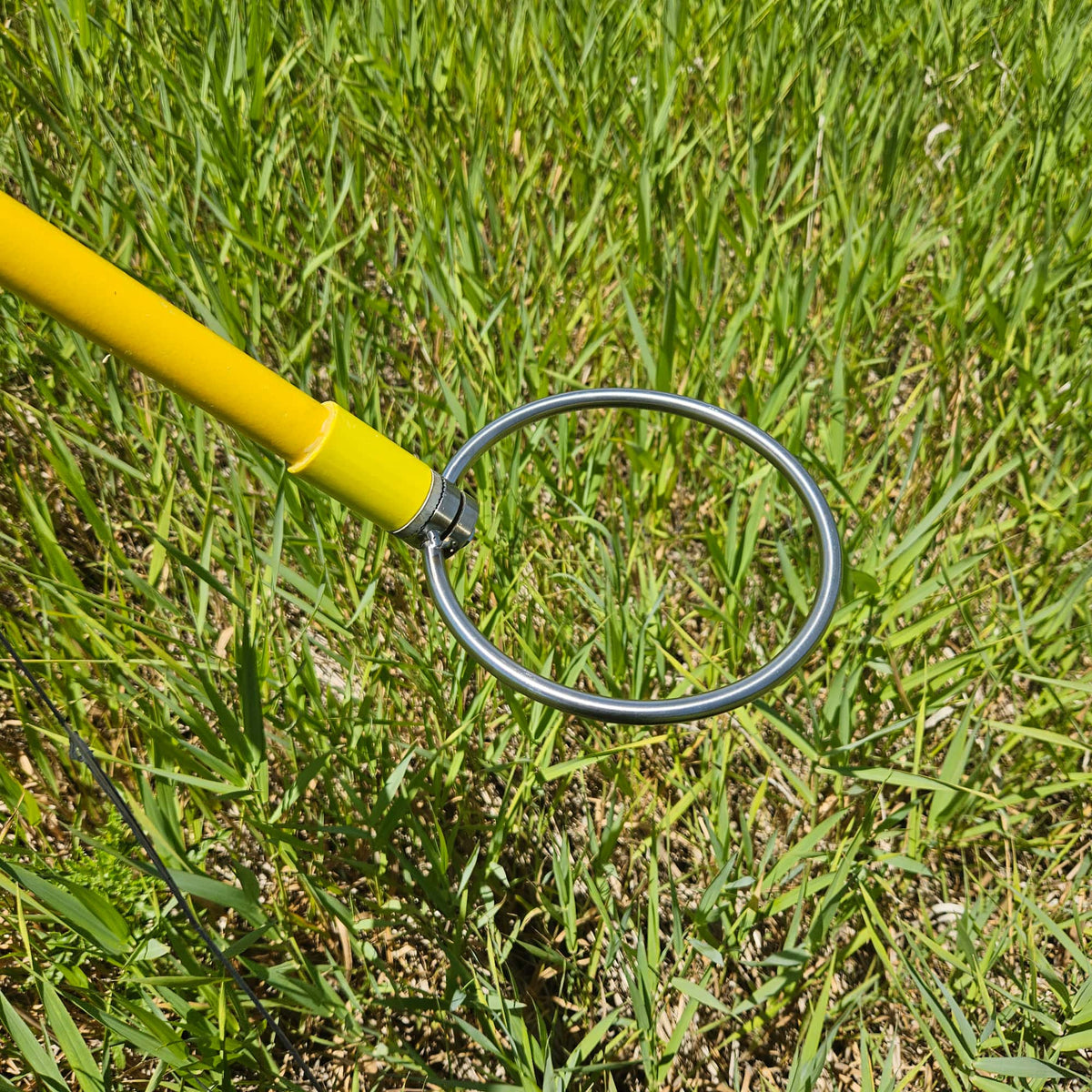 ELECTRODE RING 6IN FIXED SS